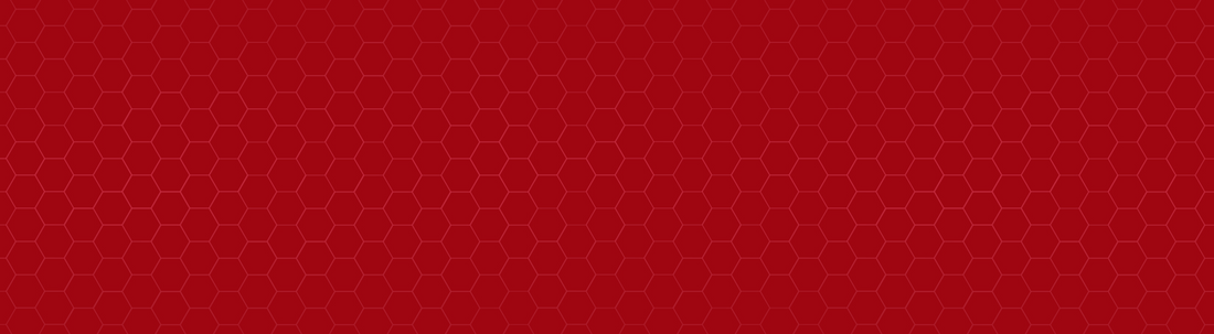 WE ARE CECOR - CECOR